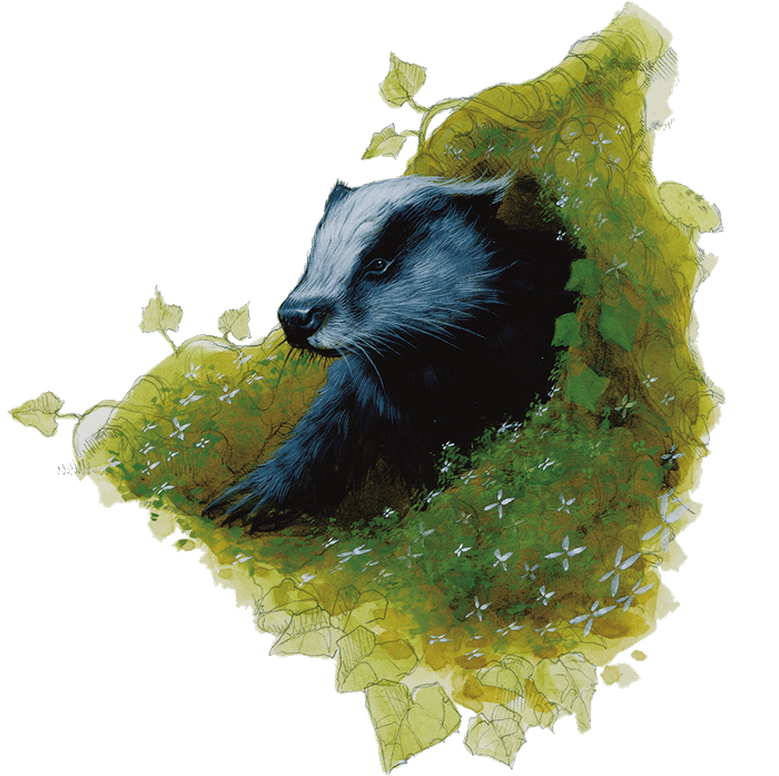 Giant Badger | Kryx RPG