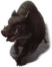 Boar | Kryx RPG