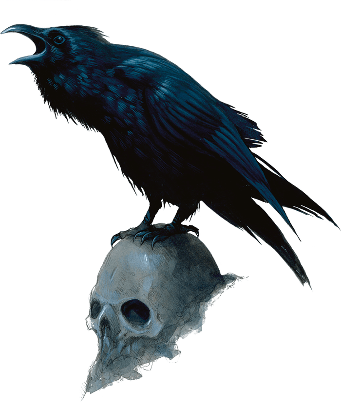 Raven | Kryx RPG