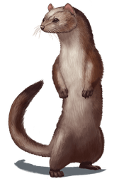 Giant Weasel | Kryx RPG