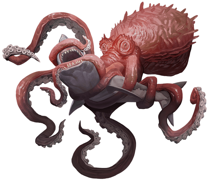 Octopus | Kryx RPG