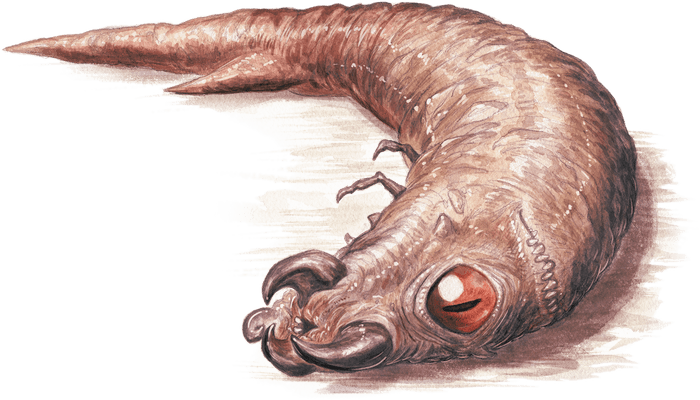 Piercer | Kryx RPG